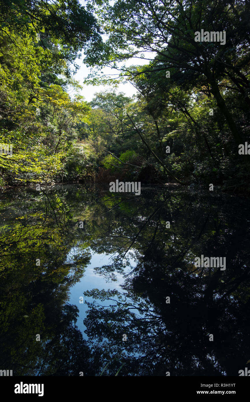 A visit to the Institute For Nature Study in Tokyo, Japan. It is an ...