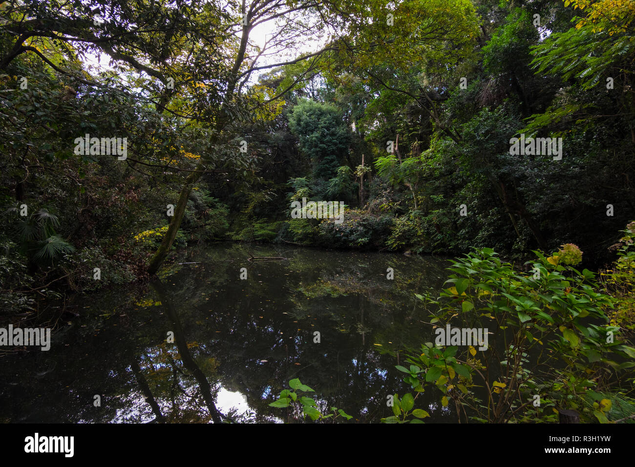 A visit to the Institute For Nature Study in Tokyo, Japan. It is an ...