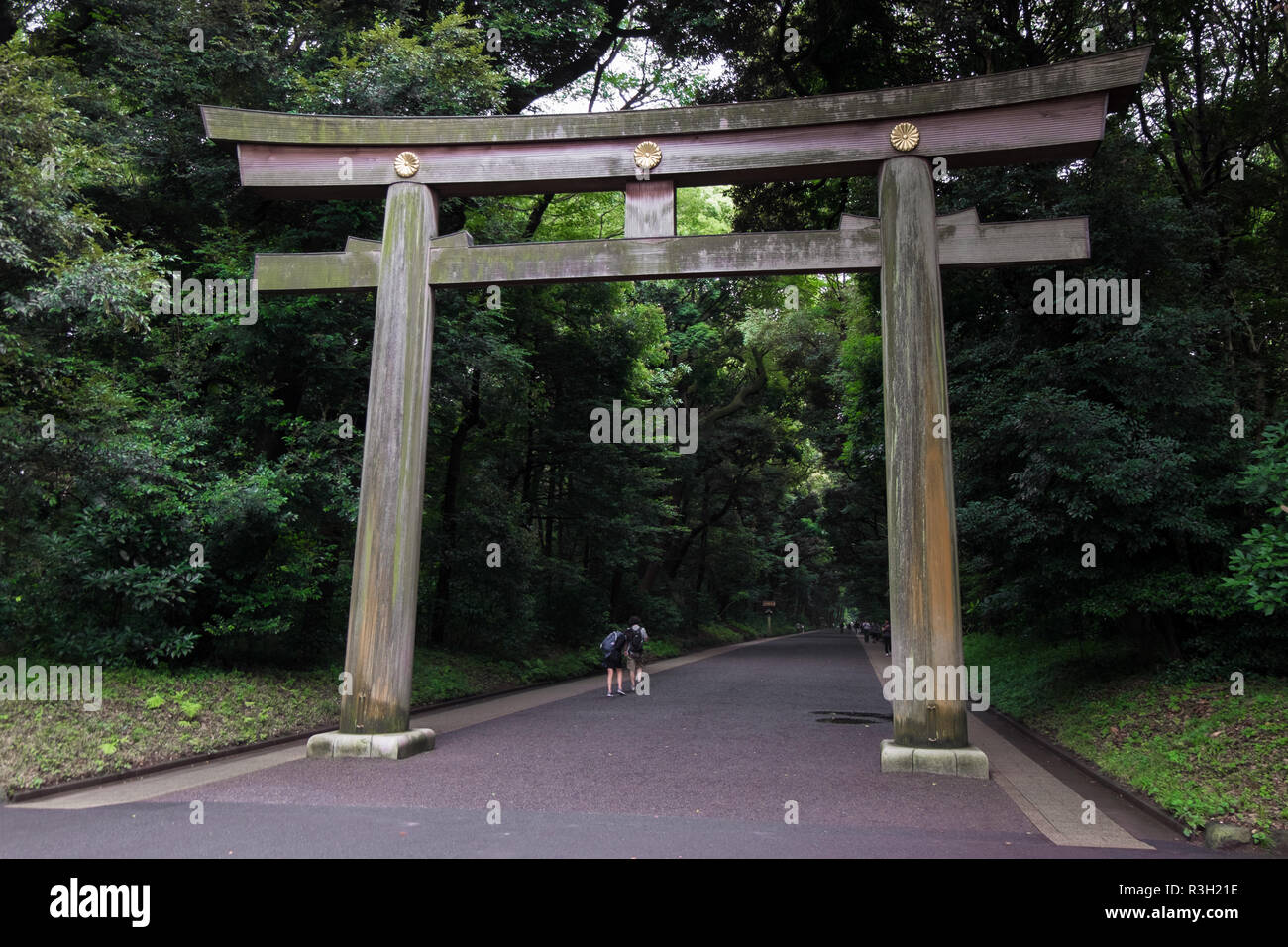 Big gate hi-res stock photography and images - Alamy