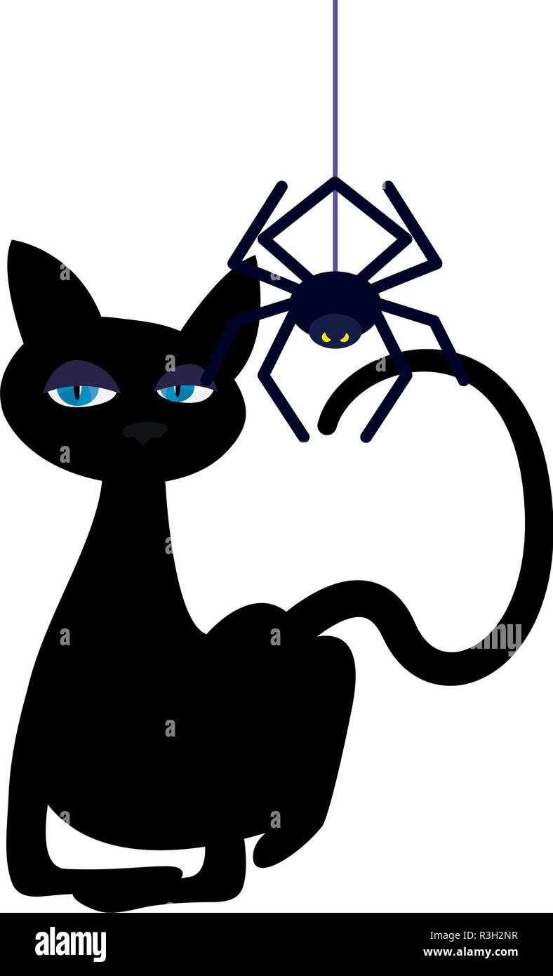 black cat and spider halloween celebration vector illustration Stock ...