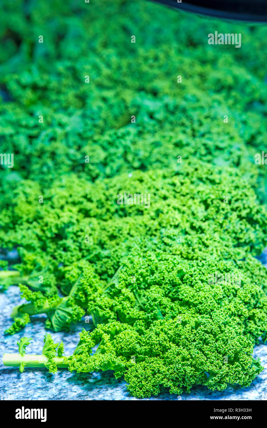 Urkohl hi-res stock photography and images - Alamy