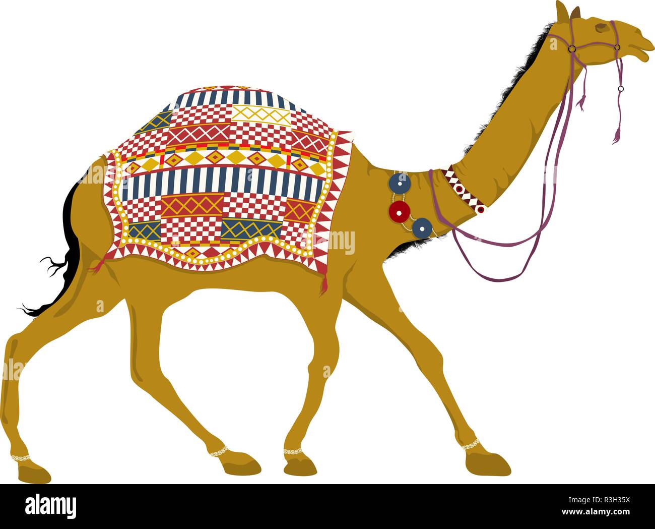 Beautiful decorated indian camel vector on white background Stock ...