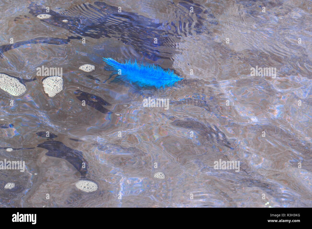 colored feather floating in the fountain Stock Photo - Alamy