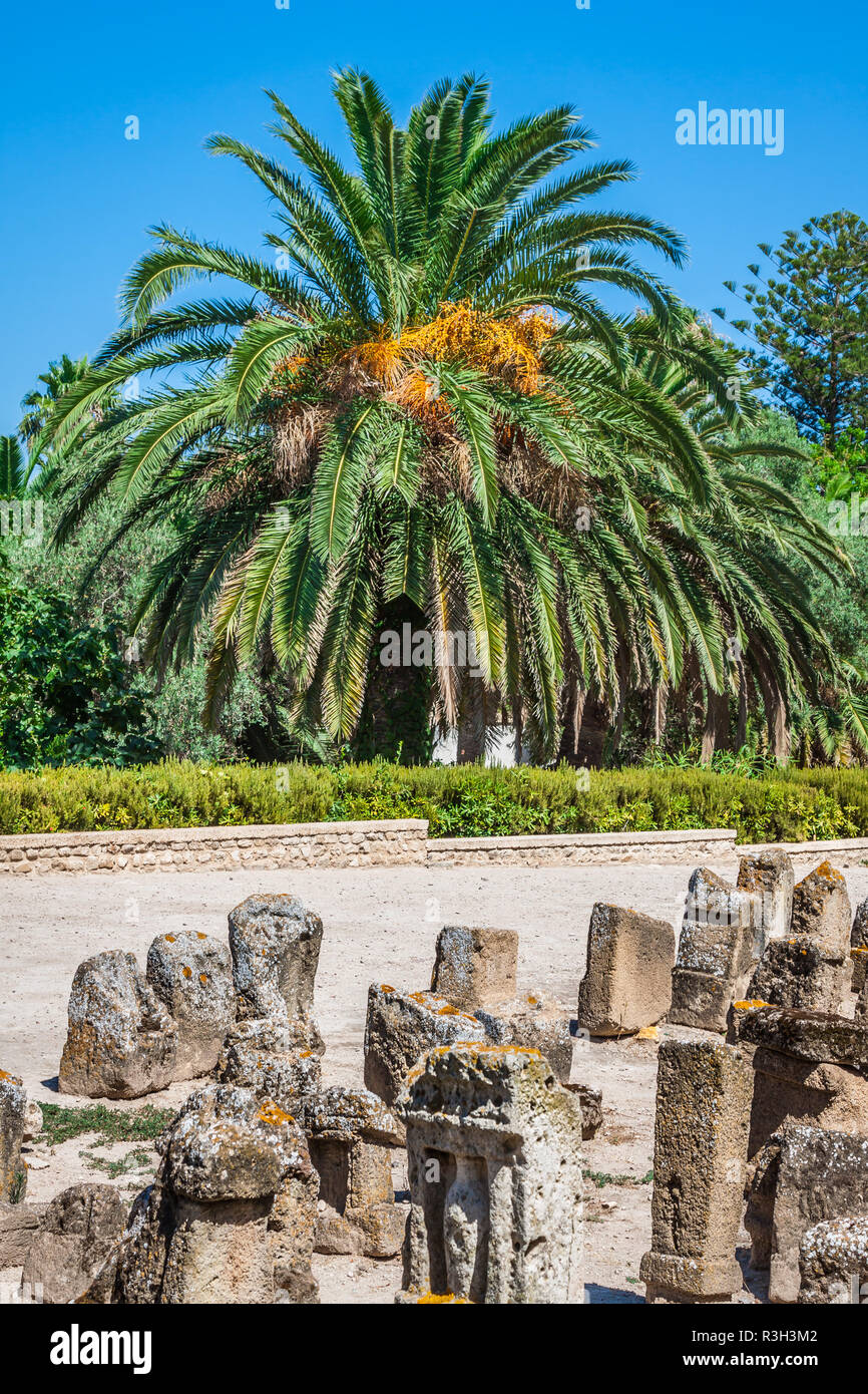 tunisia. ancient carthage. the tophet - open-air area with stelae Stock ...