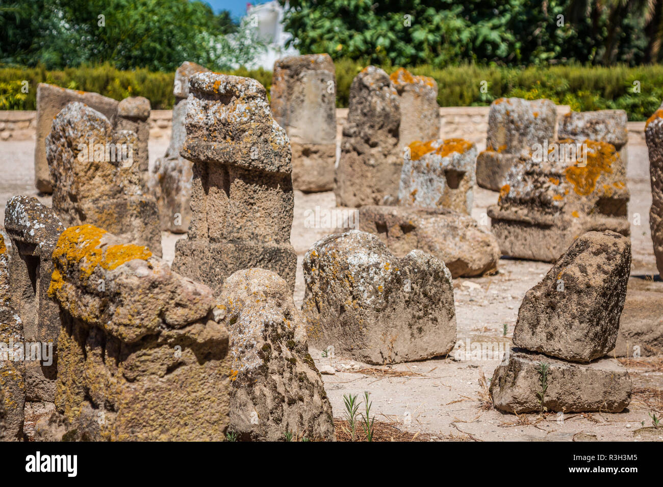 tunisia. ancient carthage. the tophet - open-air area with stelae Stock ...