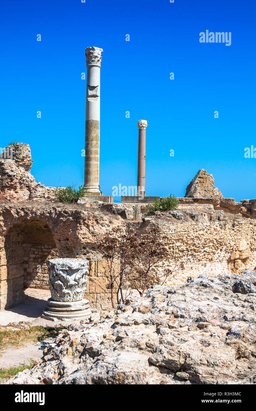 ruins of the antonine baths at carthage,tunisia Stock Photo - Alamy
