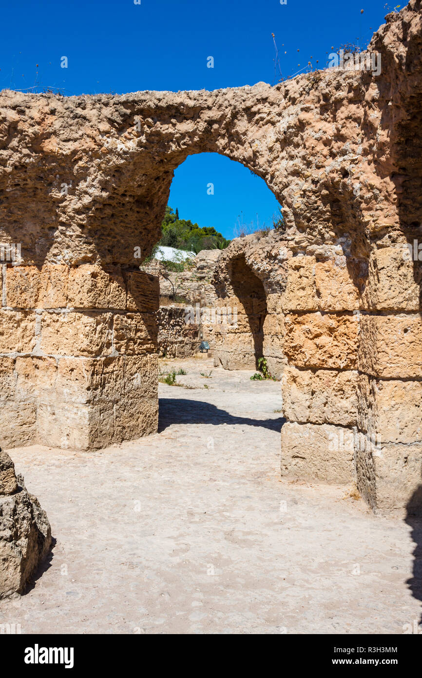 ruins of the antonine baths at carthage,tunisia Stock Photo - Alamy