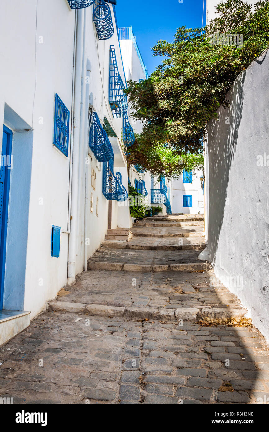 sidi bou said - typical building with white walls,blue doors and ...