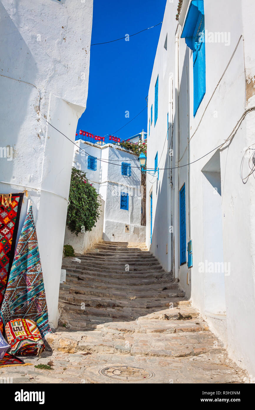 sidi bou said - typical building with white walls,blue doors and ...