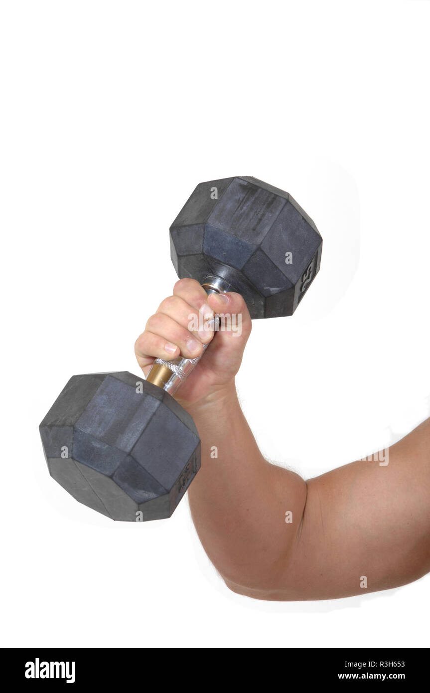 Muscles of forearm Cut Out Stock Images & Pictures - Alamy