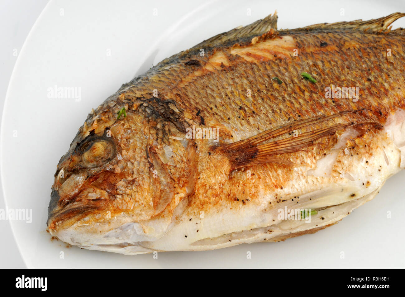 Mittelmeerfisch hi-res stock photography and images - Alamy