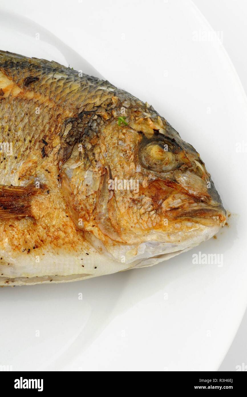 Mittelmeerfisch High Resolution Stock Photography and Images - Alamy