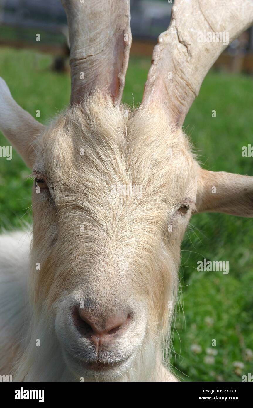 Critical look hi-res stock photography and images - Alamy