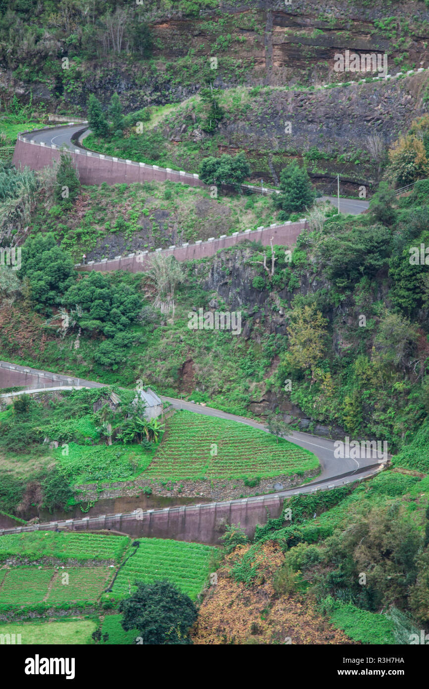 cultivated terraced fields on the cliff top on the island of madeira ...