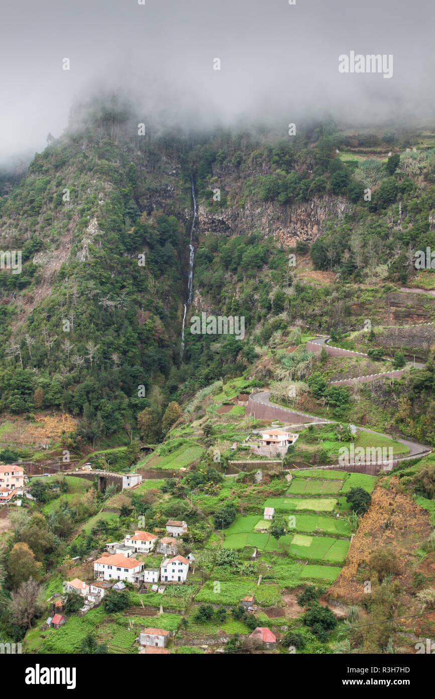 cultivated terraced fields on the cliff top on the island of madeira ...