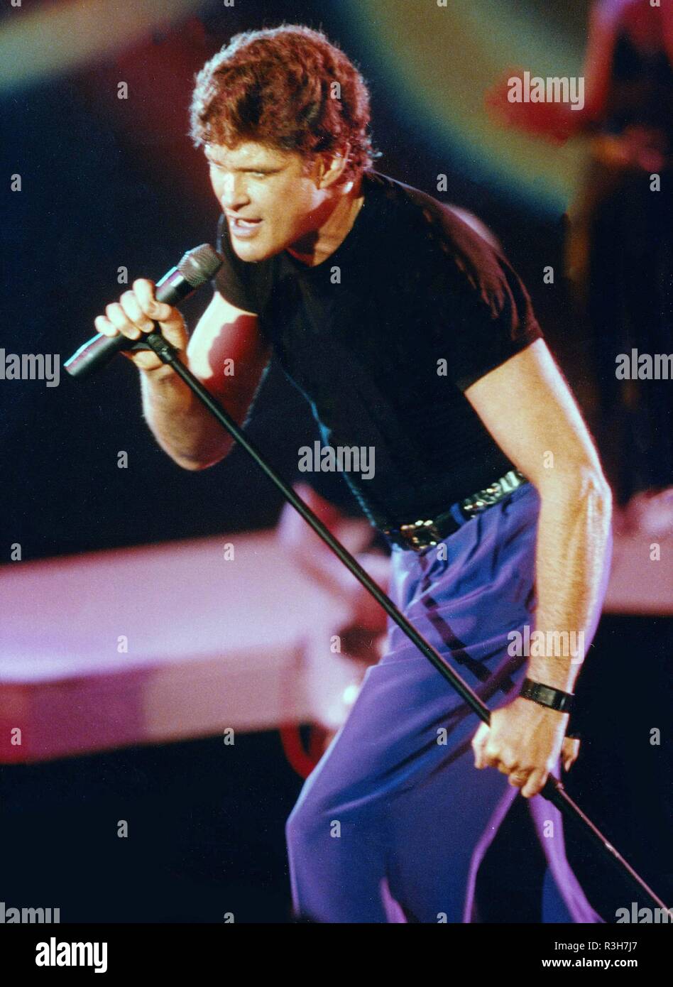 David Hasselhoff 1994 Photo By Adam Scull/PHOTOlink.net Stock Photo - Alamy