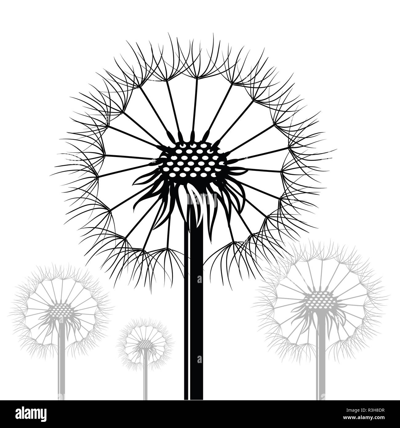Wind pollination Black and White Stock Photos & Images - Alamy