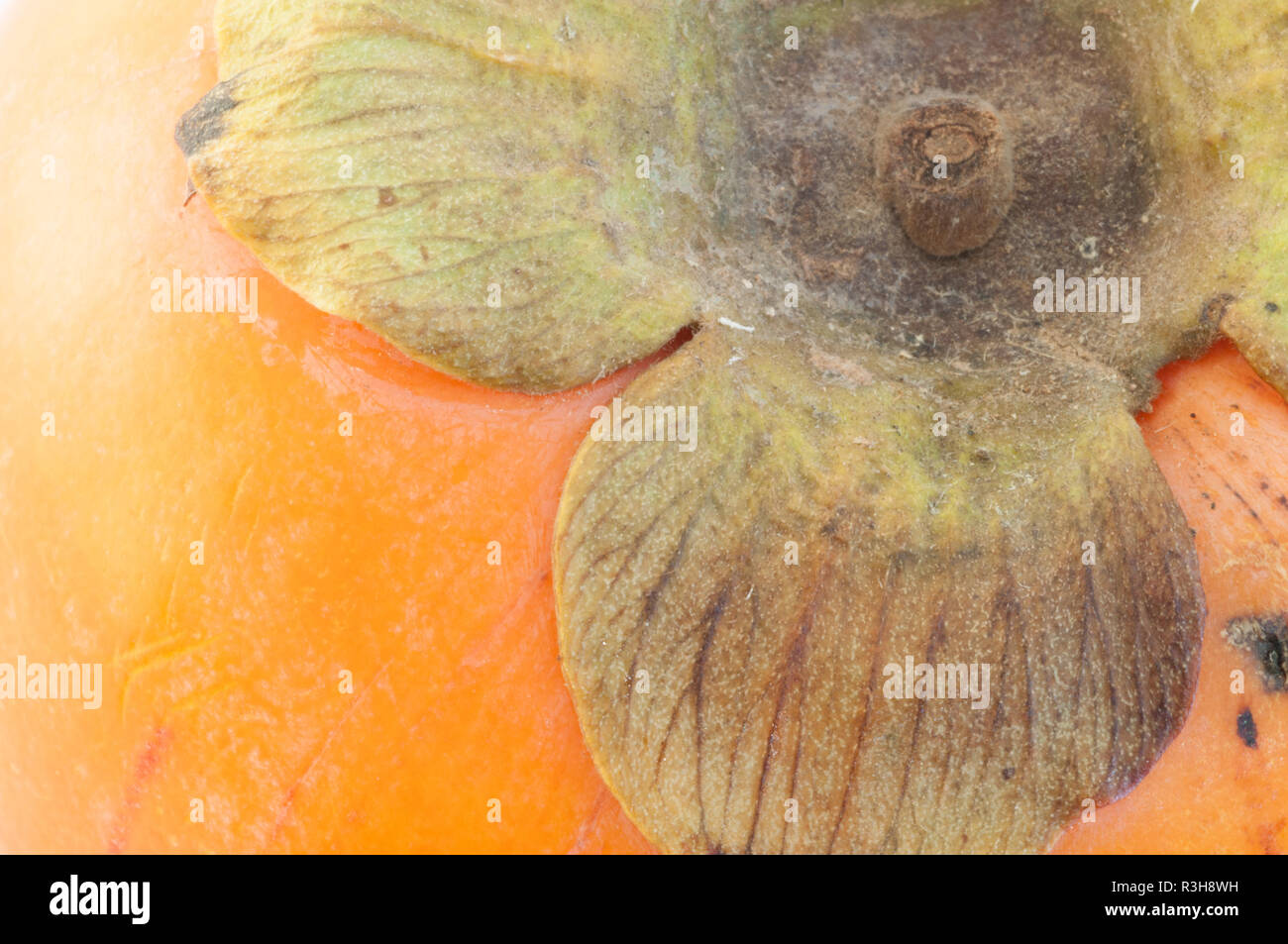 Cachi fruit hi-res stock photography and images - Alamy
