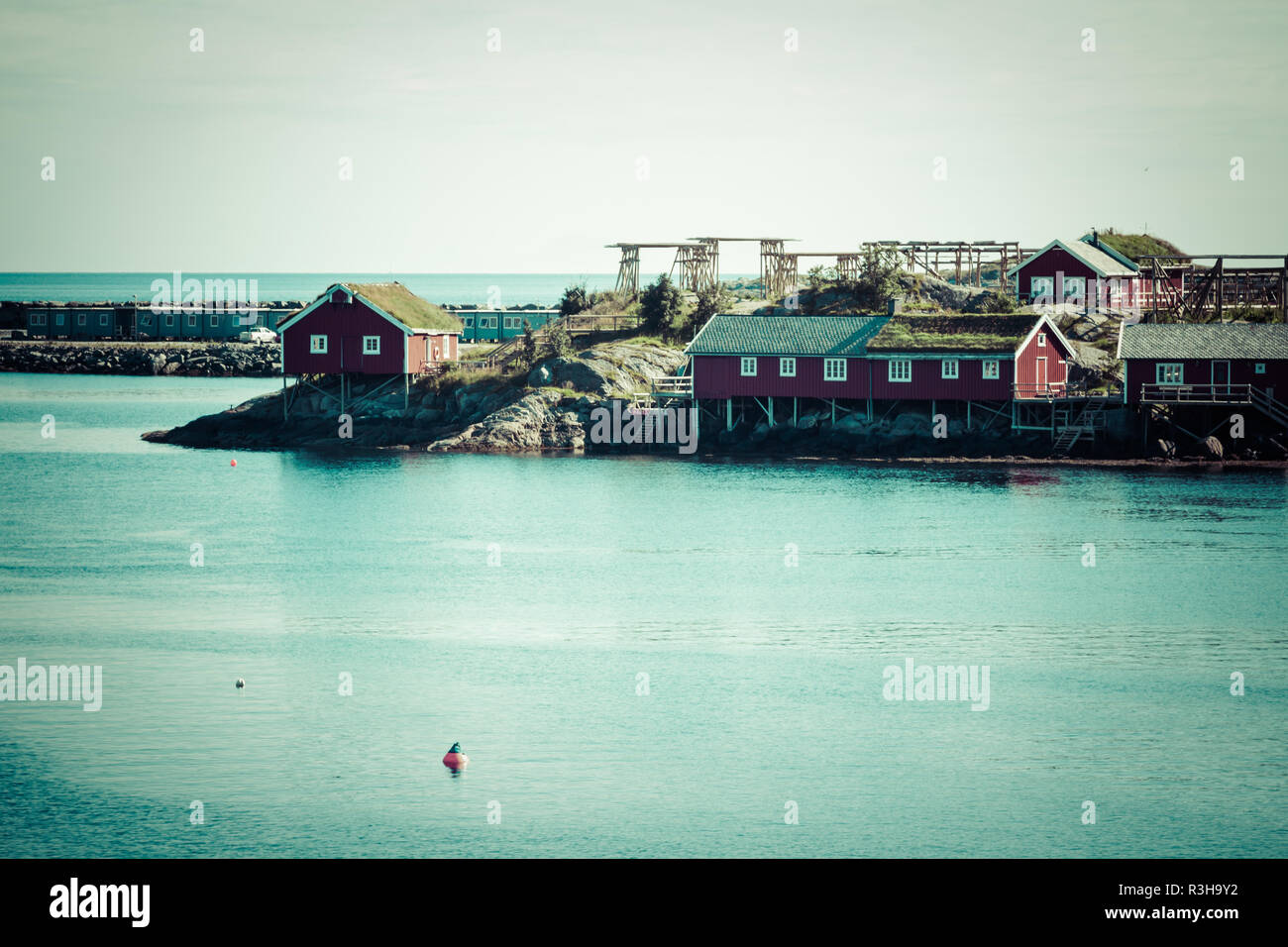 typical norwegian fishing village with traditional red rorbu huts,reine ...