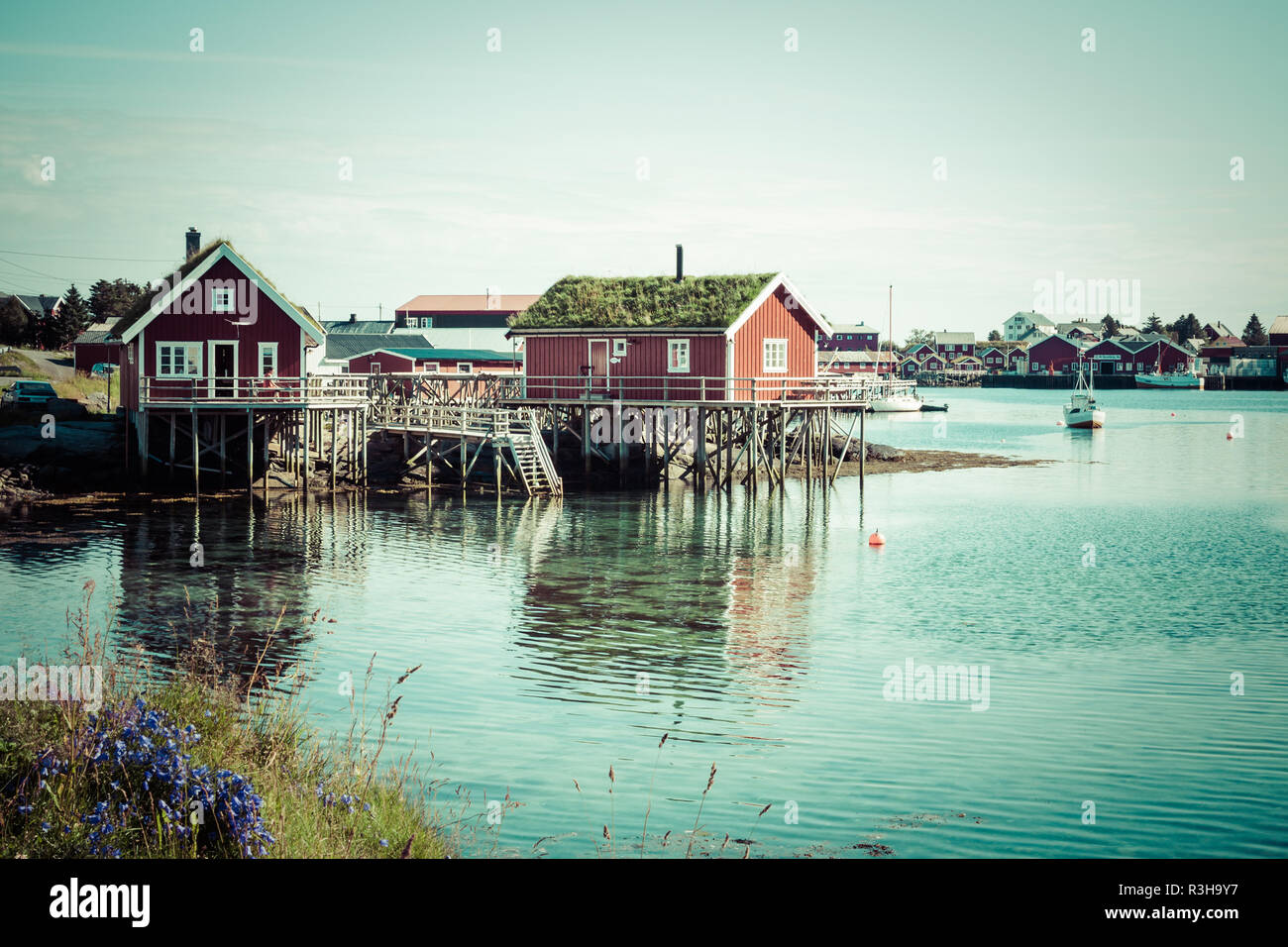 typical norwegian fishing village with traditional red rorbu huts,reine ...