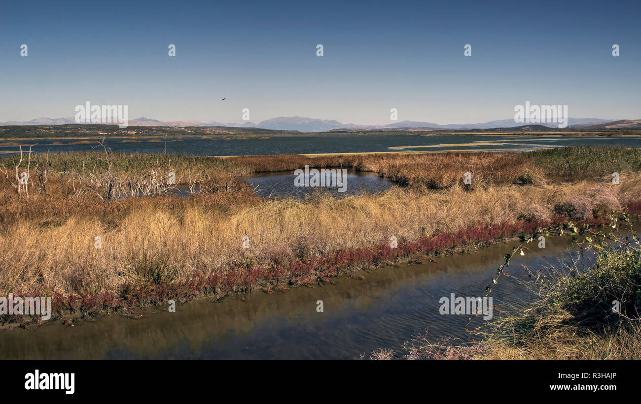 Montenegro - A view at a portion of the Nature Park Solana Ulcinj ...