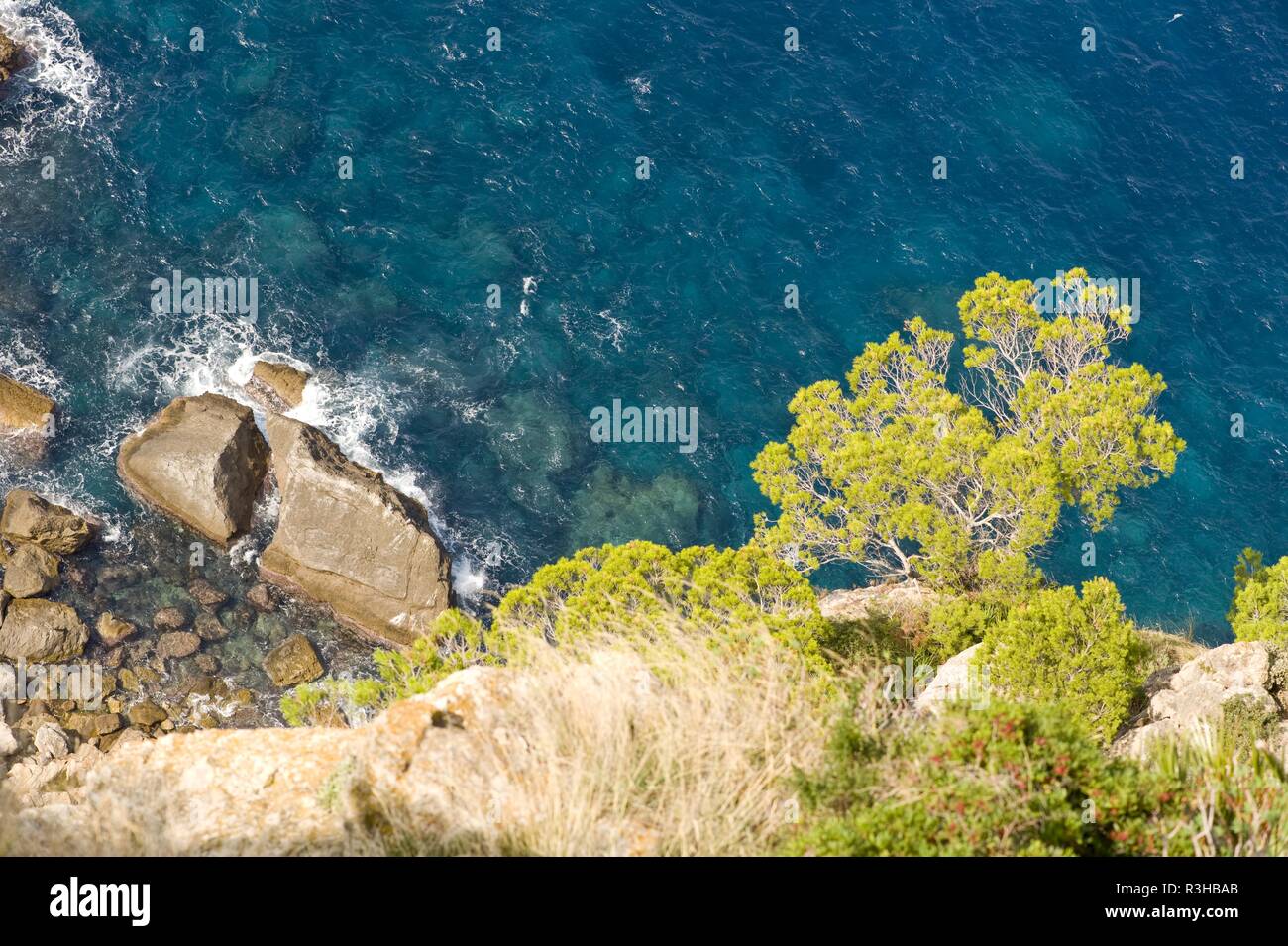Flora of mallorca hi-res stock photography and images - Alamy