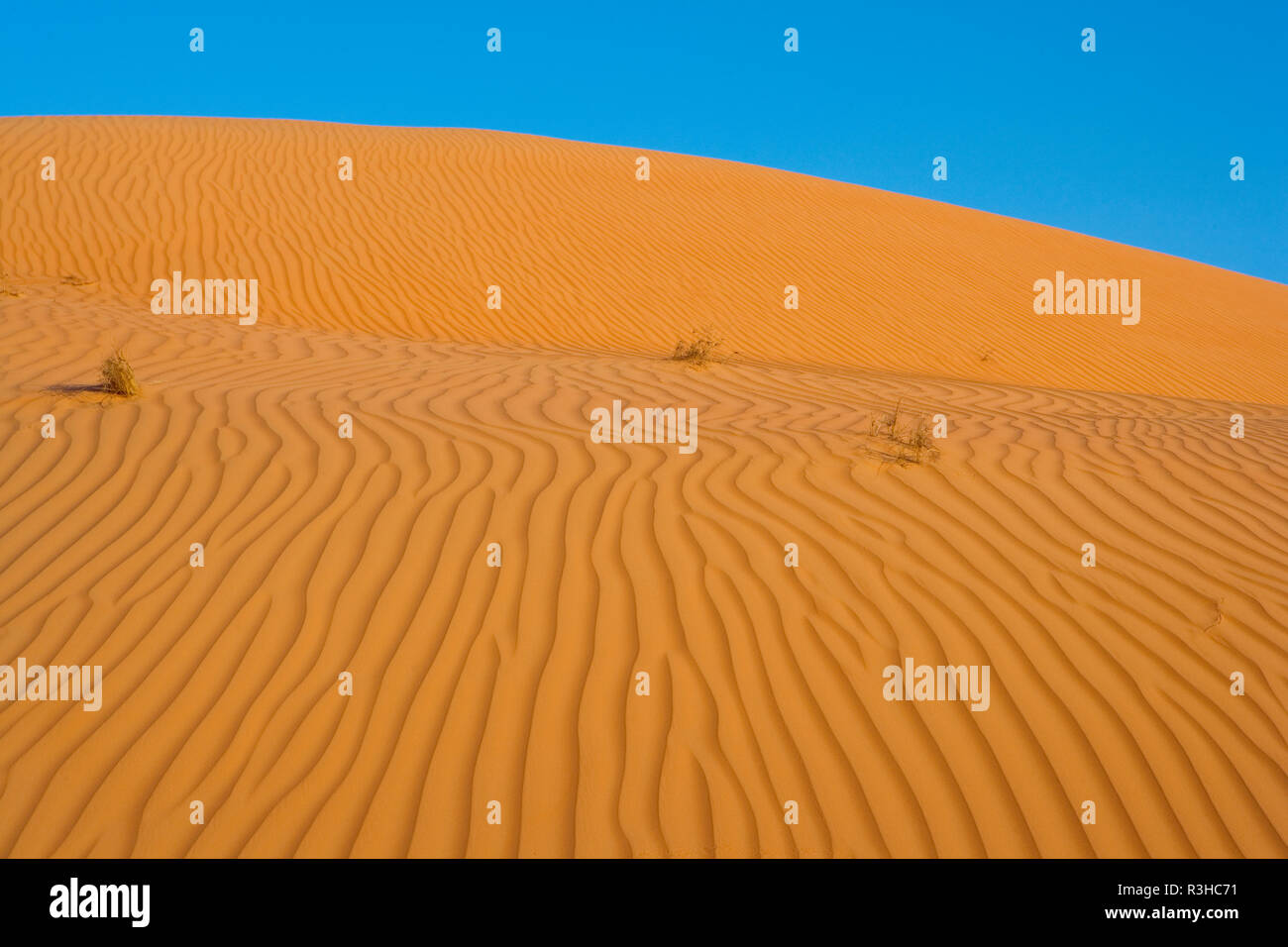 structure in desert sand Stock Photo - Alamy