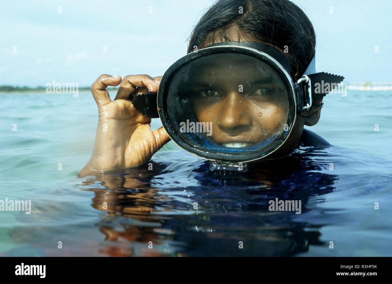 Seealgen hi-res stock photography and images - Alamy