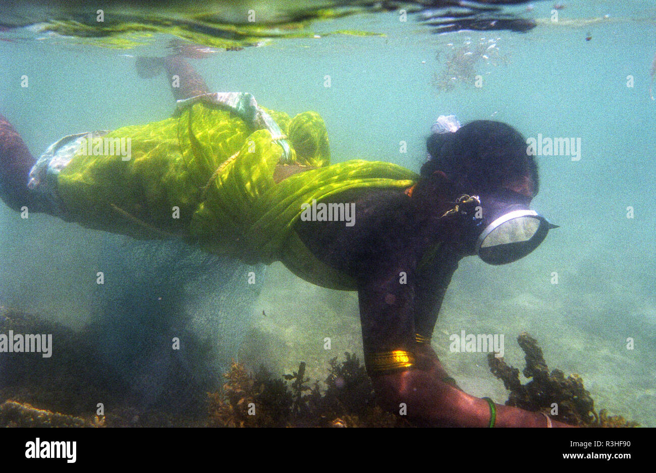 INDIA, Tamil Nadu, Gulf of Mannar, Ramnath, women of fishing village ...