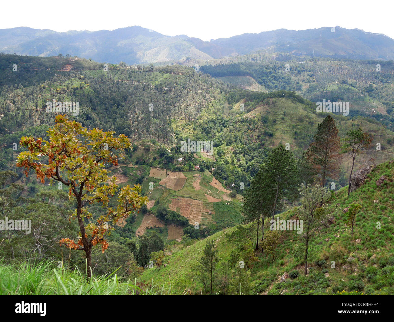 mountain scenery in sri lanka Stock Photo - Alamy