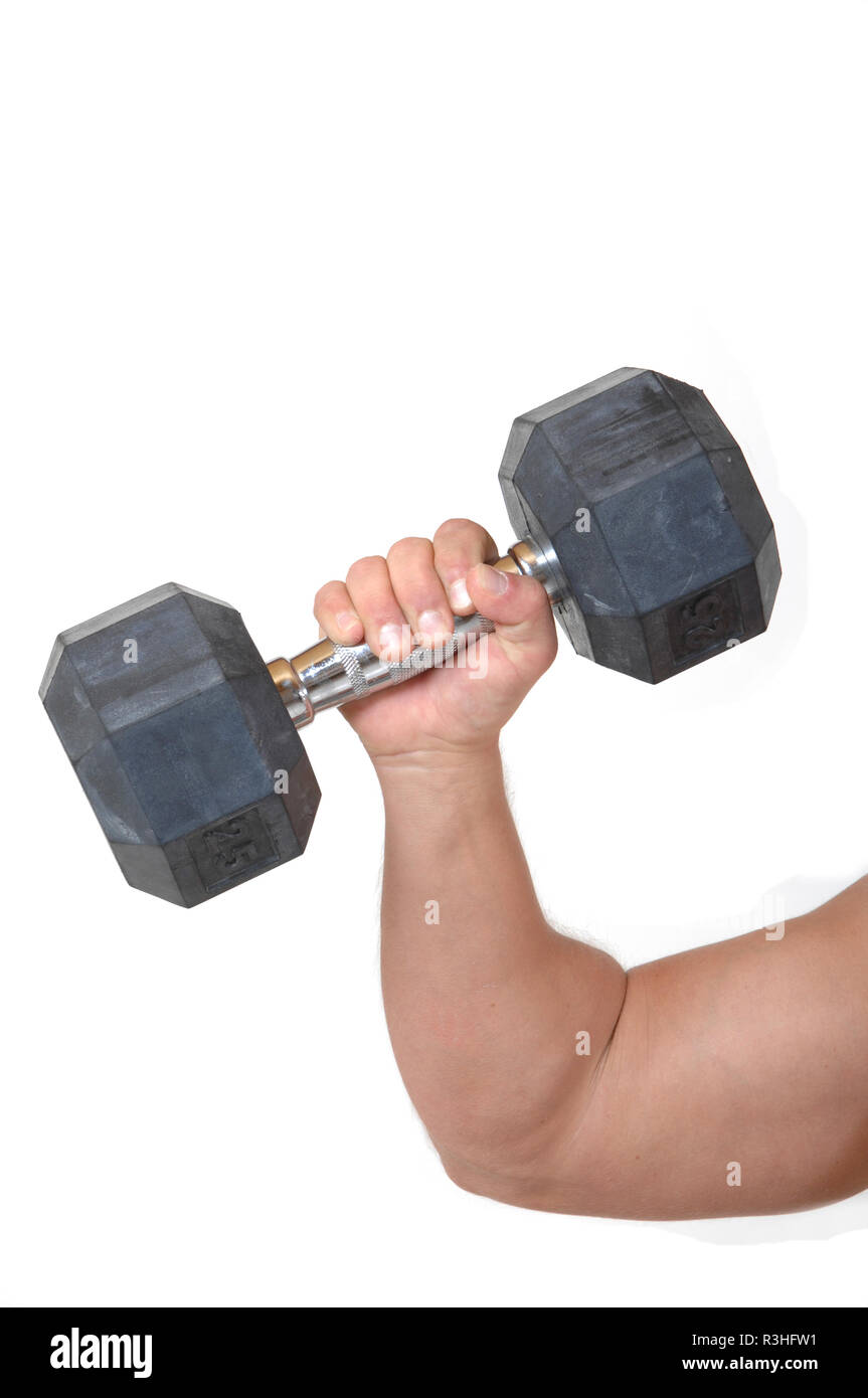 Muscles of upper arm Cut Out Stock Images & Pictures - Alamy