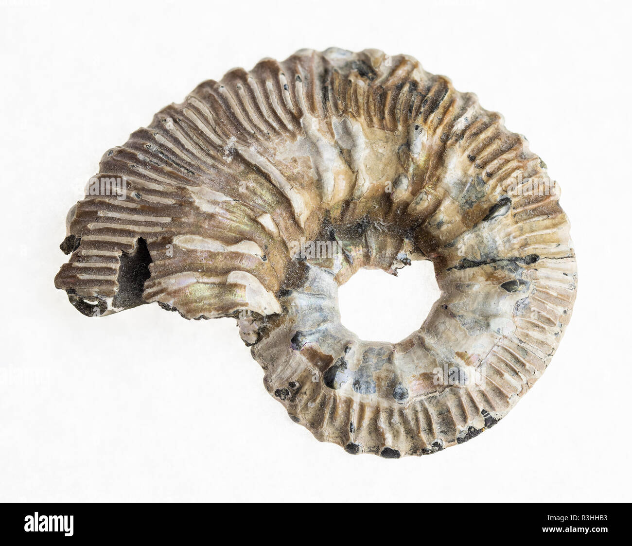 macro photography of natural mineral from geological collection ...