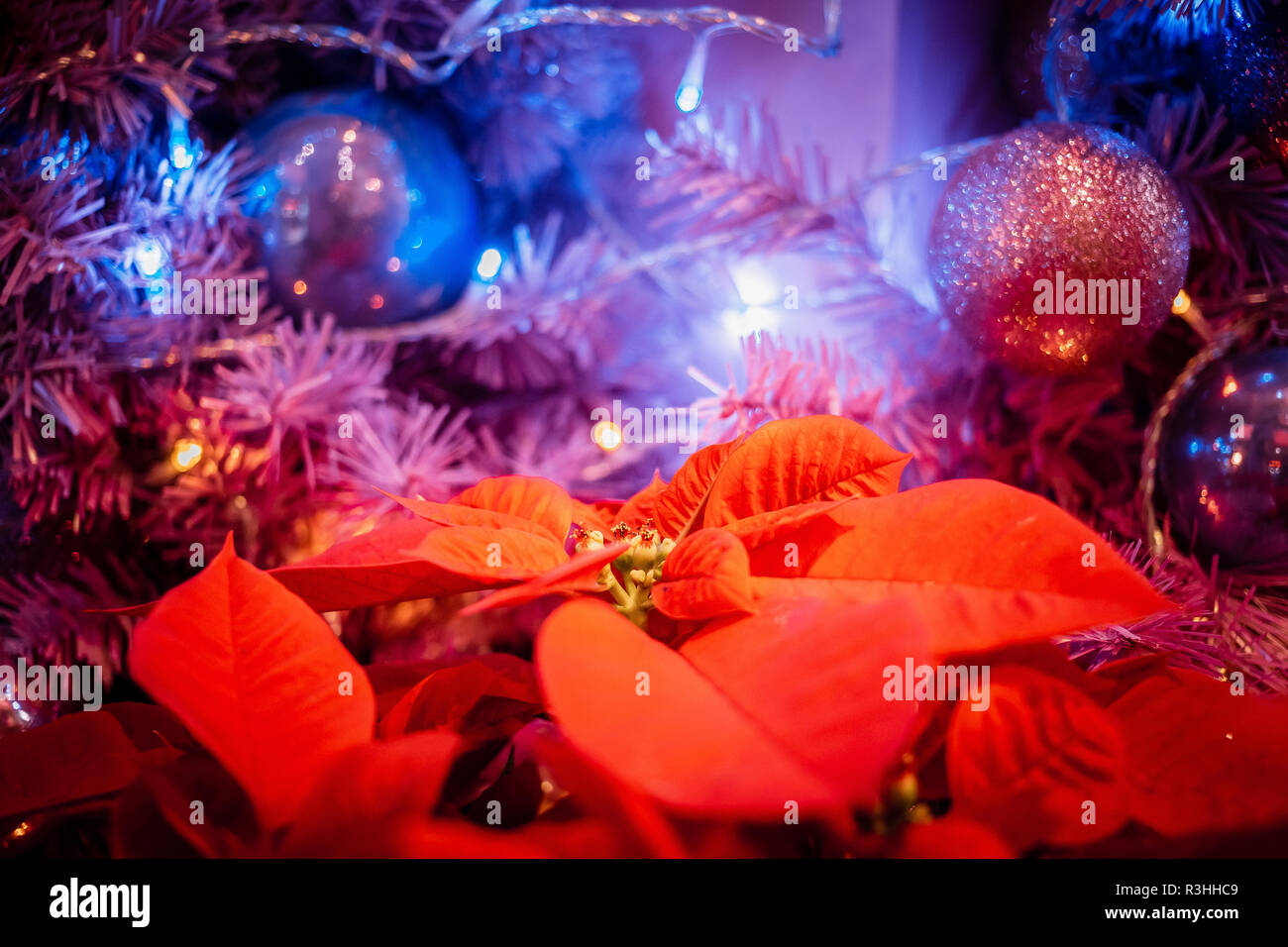 Christmas decoration background Stock Photo - Alamy