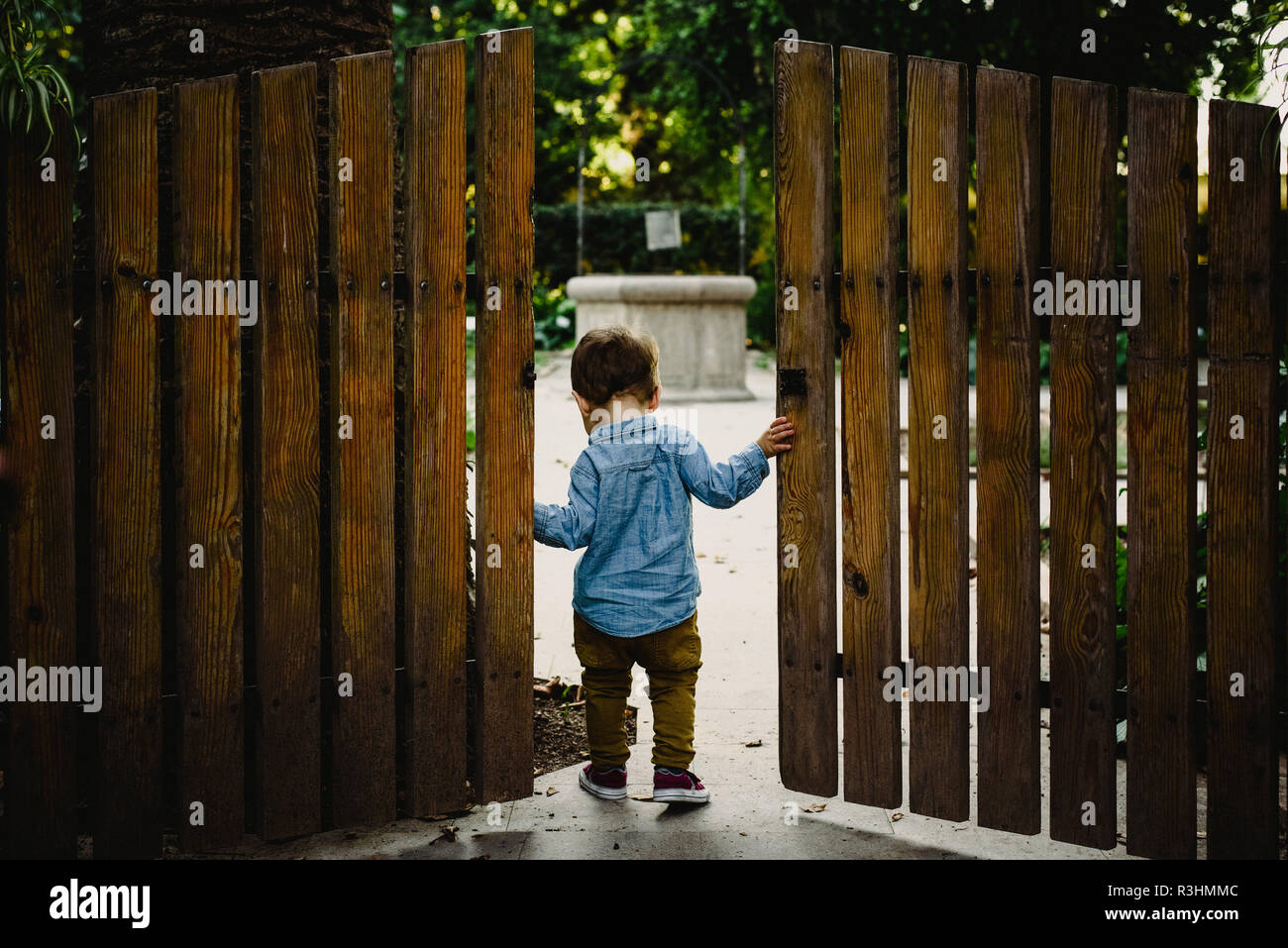 Child walking alone on tree roots proprioception Stock Photo - Alamy