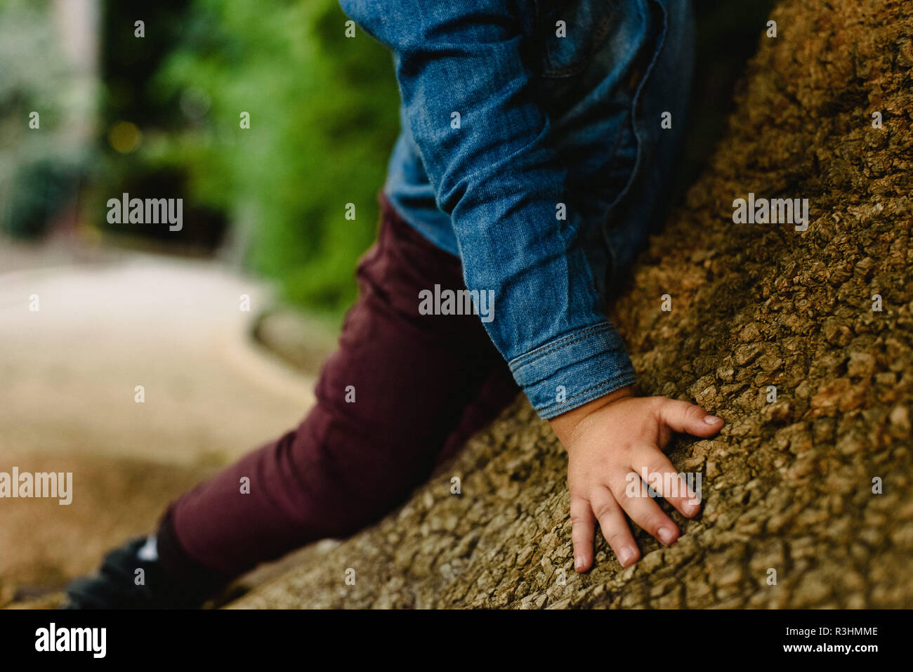 Proprioception High Resolution Stock Photography and Images - Alamy