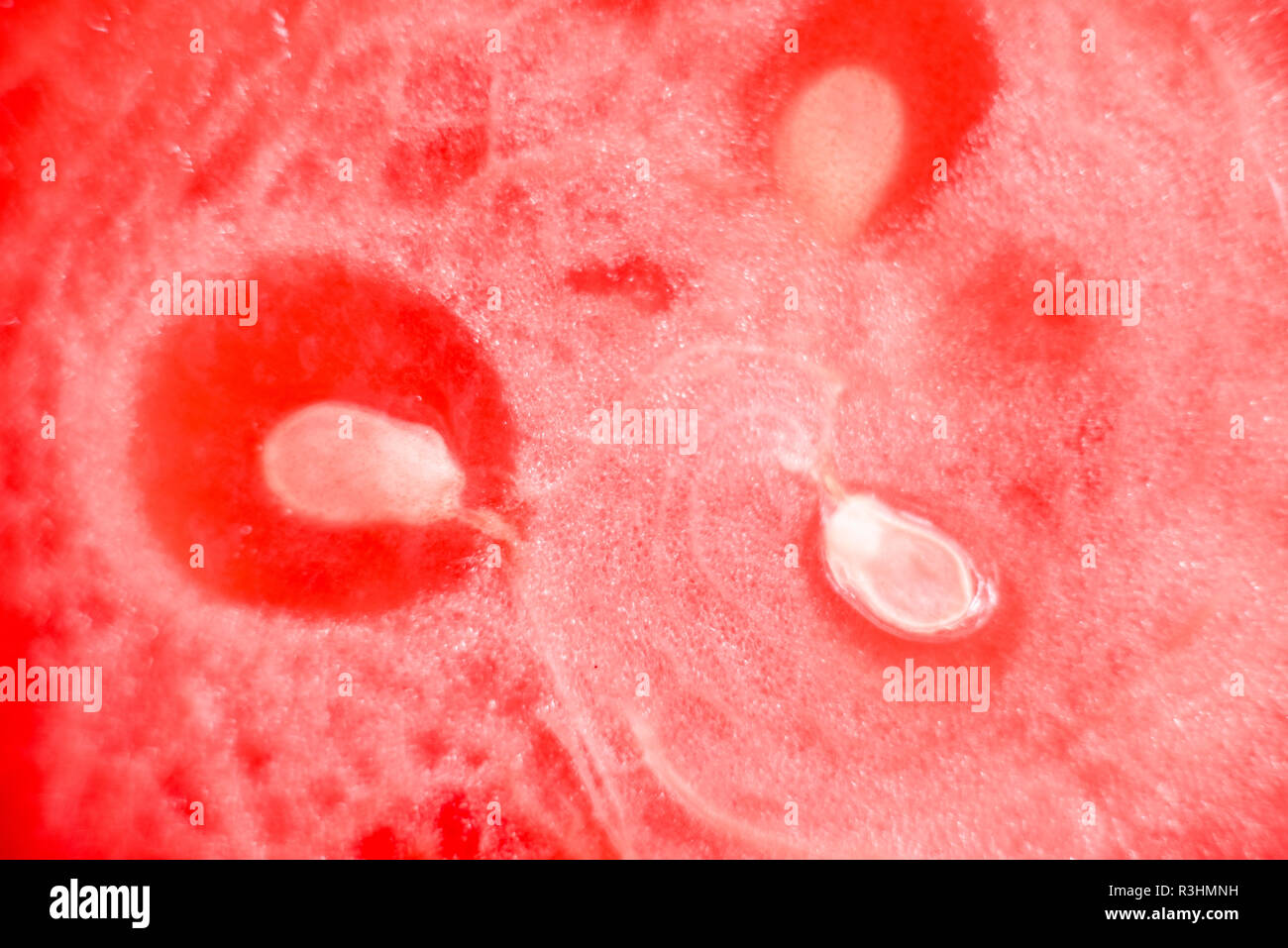 Slices of fresh juicy seedless red watermelon ideal for summer heat ...