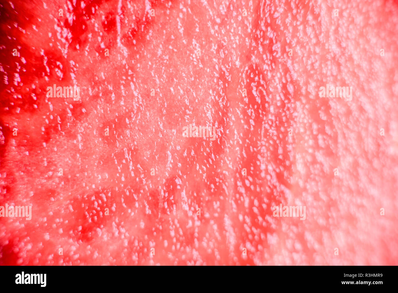 Slices of fresh juicy seedless red watermelon ideal for summer heat ...