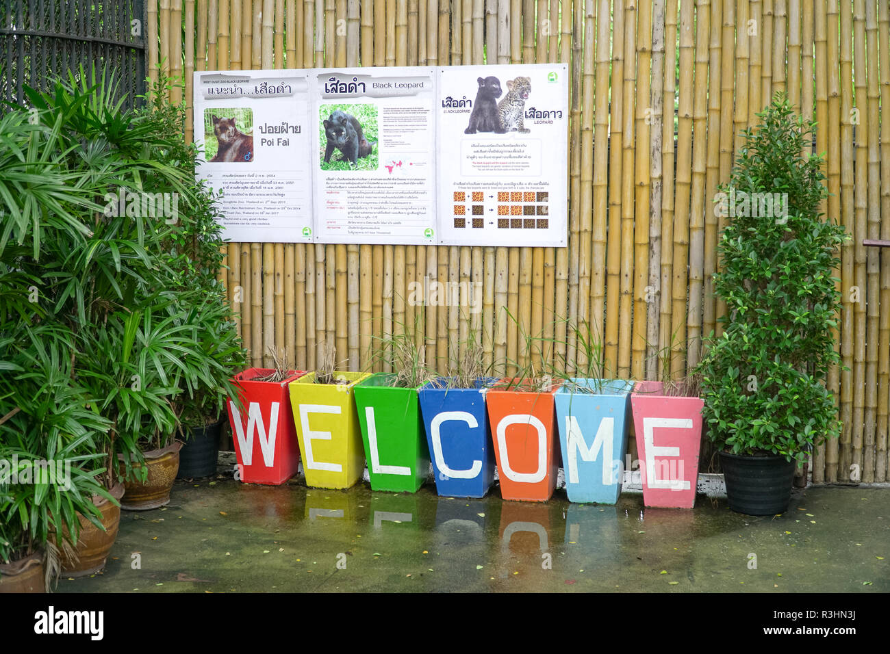 welcome text on pot bamboo wall background Stock Photo - Alamy