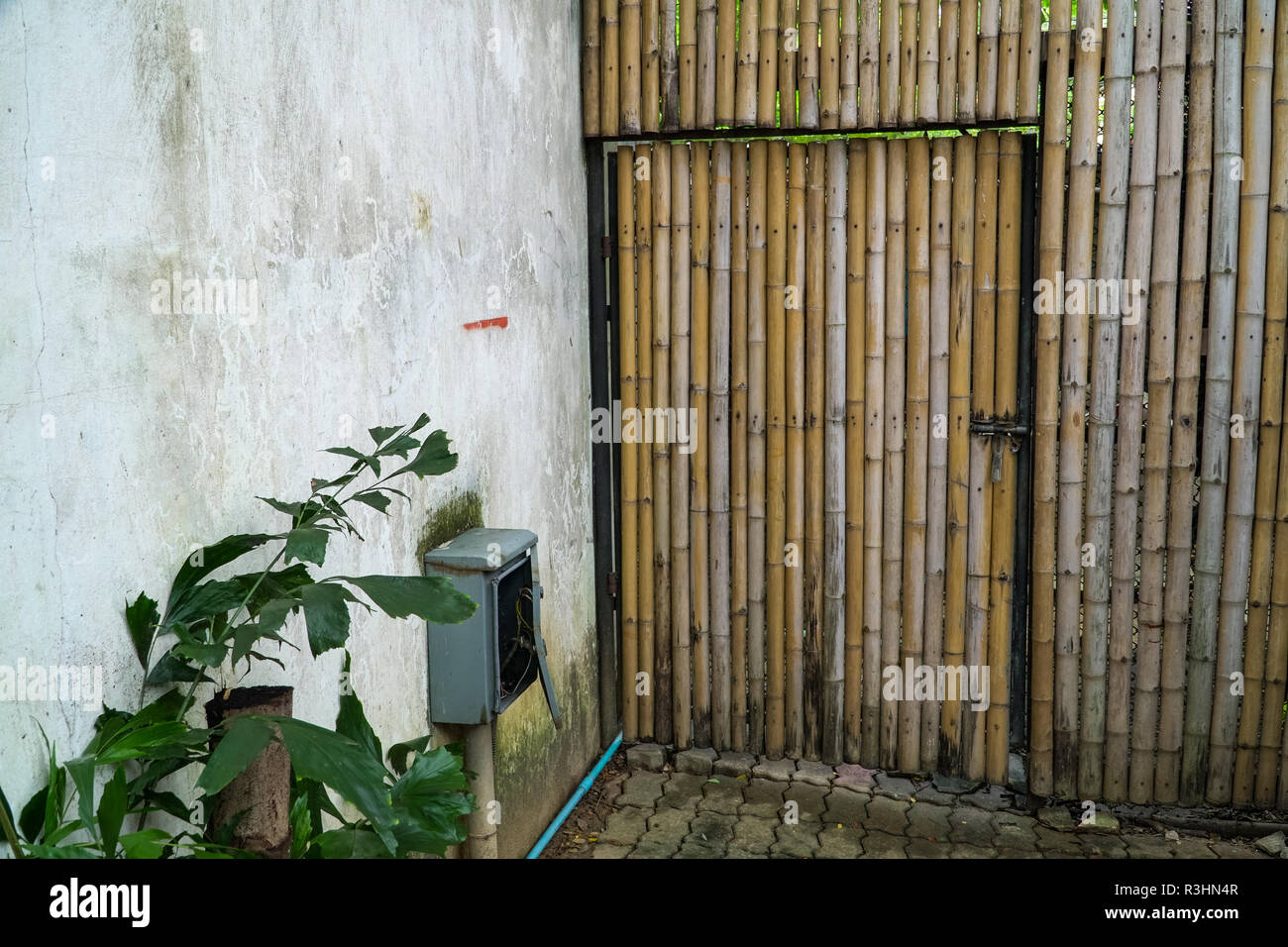 Bamboo plant house hi-res stock photography and images - Alamy