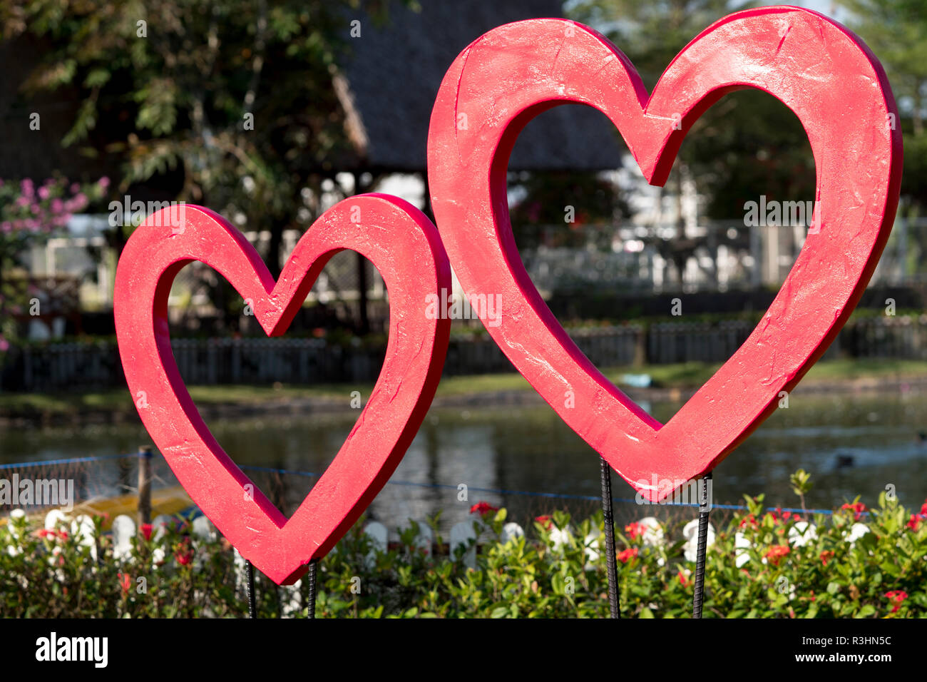 Red heart symbol on the green grass decoration at the garden park Stock ...