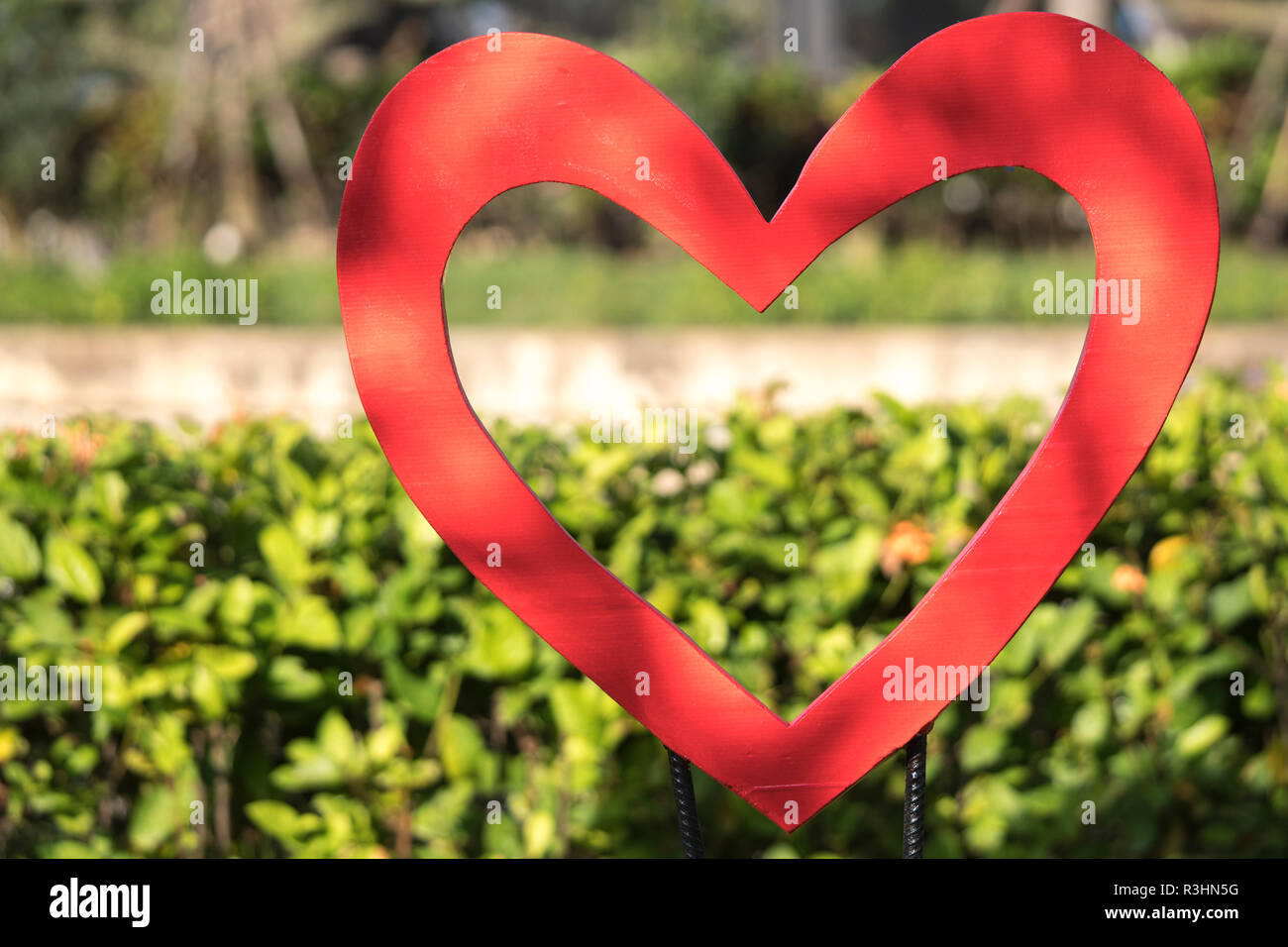 Red heart symbol on the green grass decoration at the garden park Stock ...