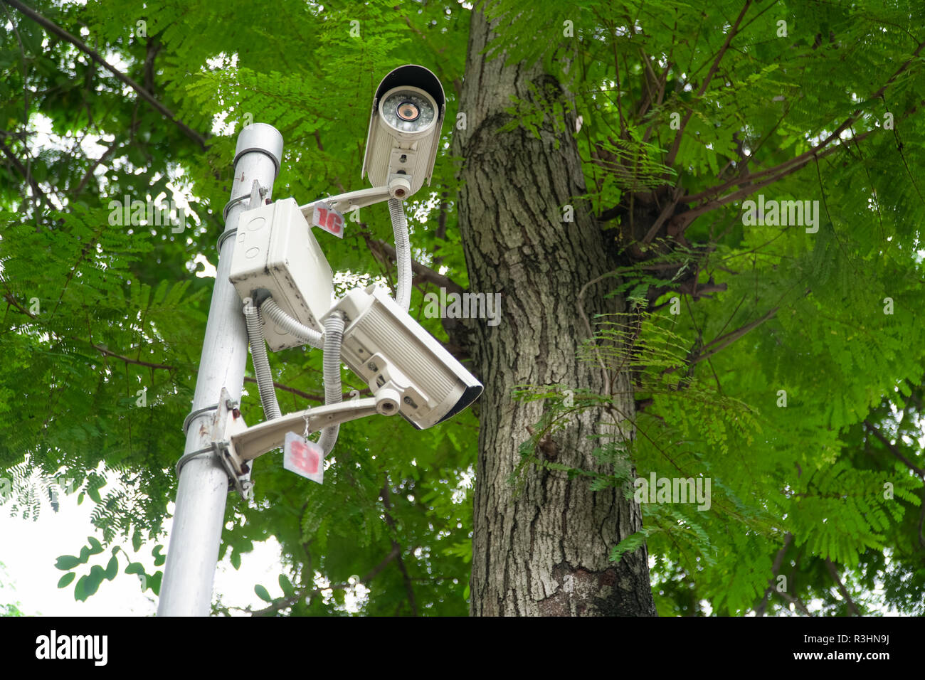 security camera in garden on tree green nature background Stock Photo ...