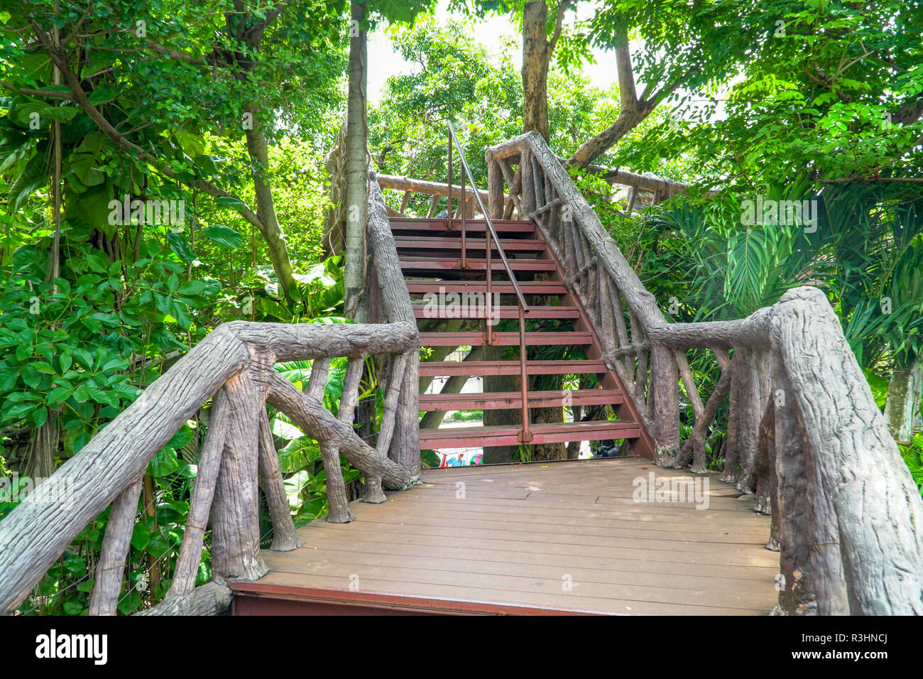 Natural ladder hi-res stock photography and images - Alamy