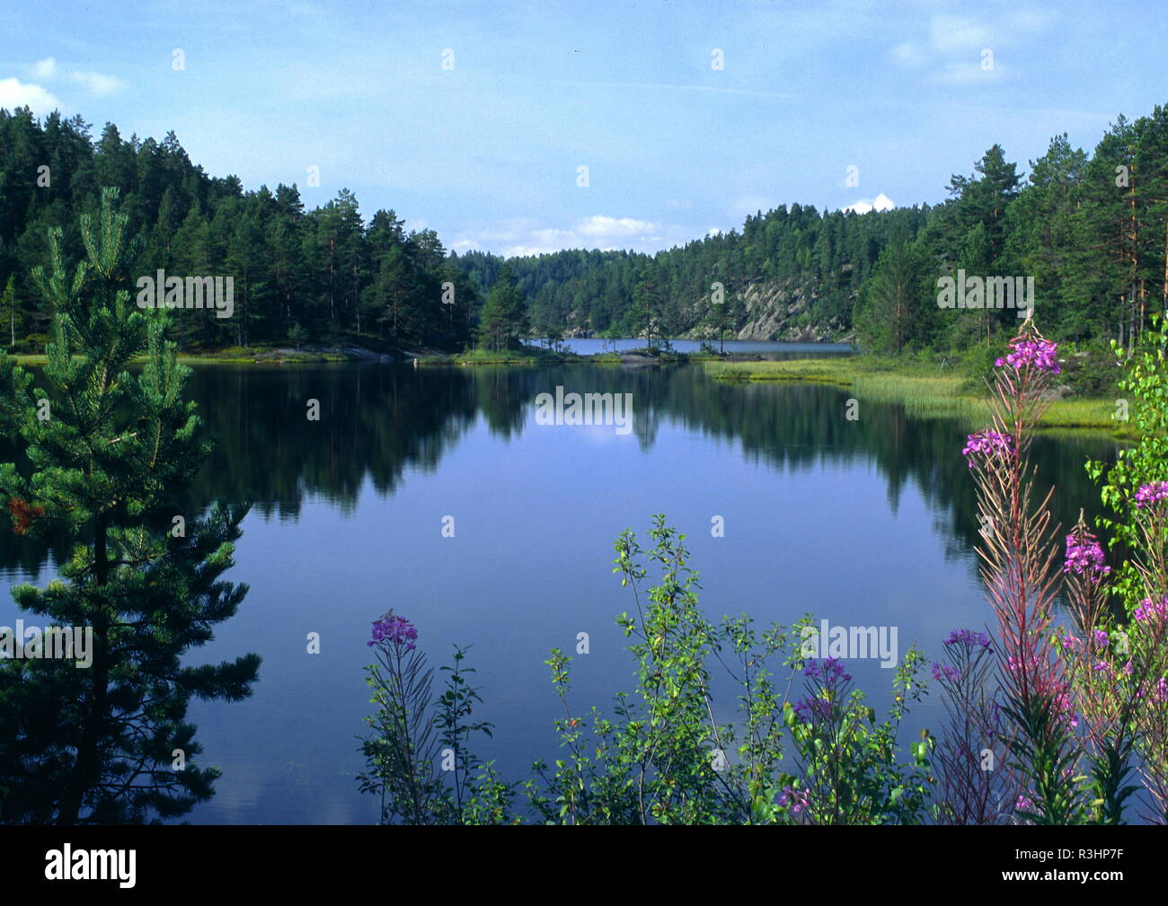 Ferein hi-res stock photography and images - Alamy
