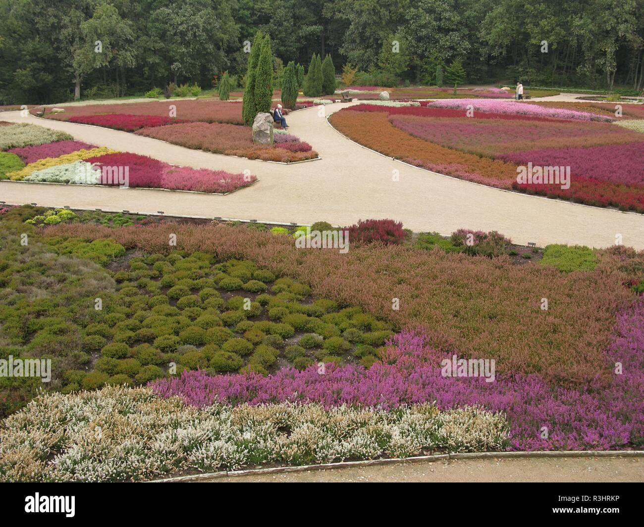 heidegarten in schneverdingen Stock Photo - Alamy
