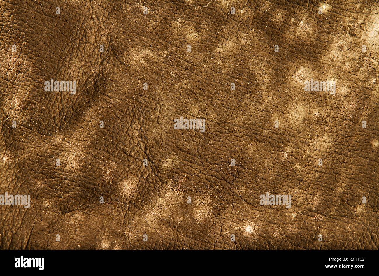 Stained Leather High Resolution Stock Photography and Images - Alamy