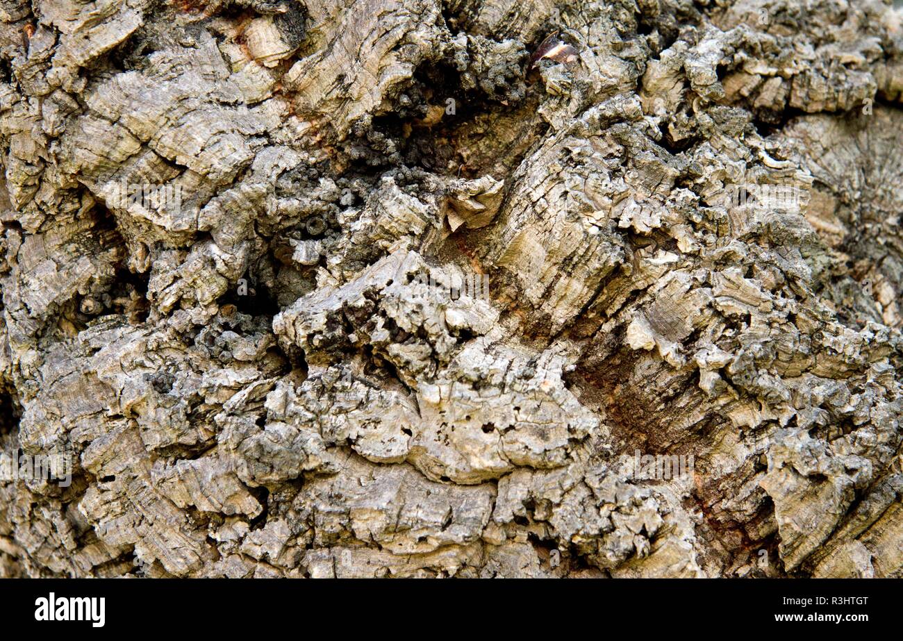 Korkstruktur hi-res stock photography and images - Alamy