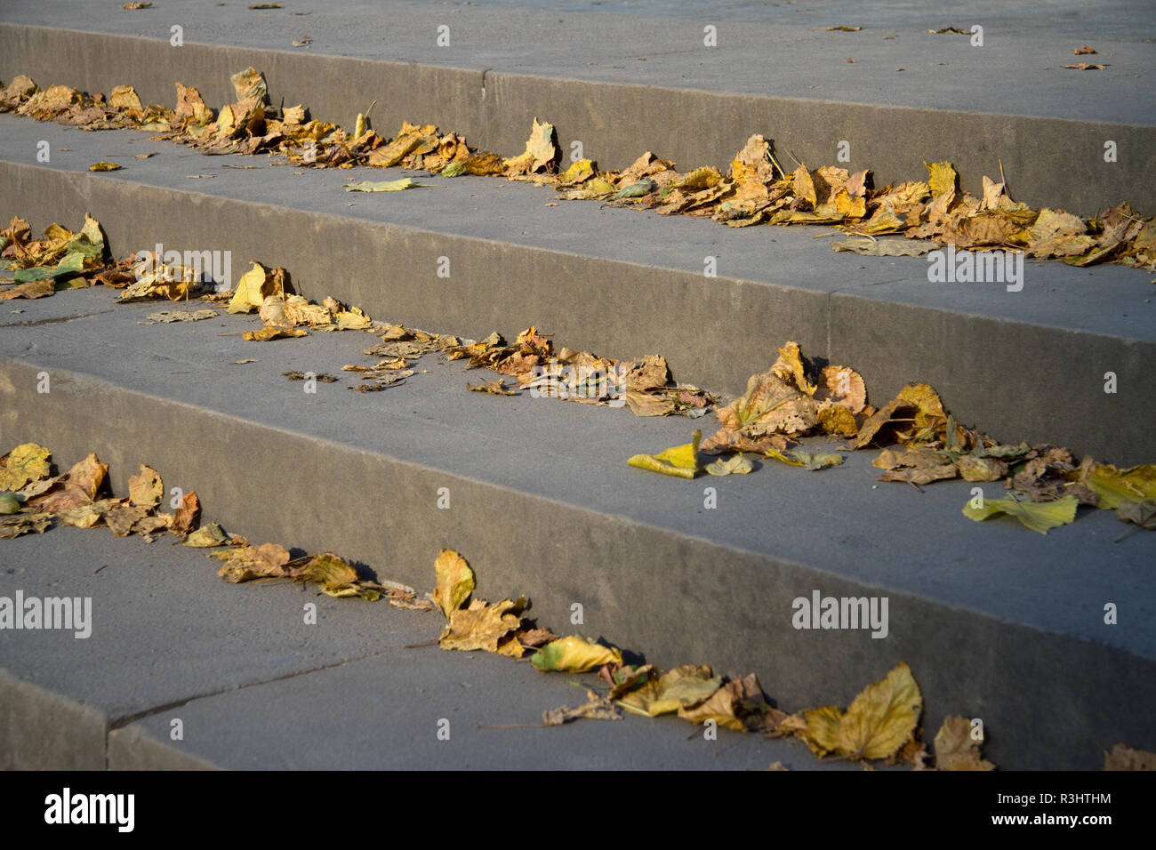 autumn leaves on steps Stock Photo - Alamy