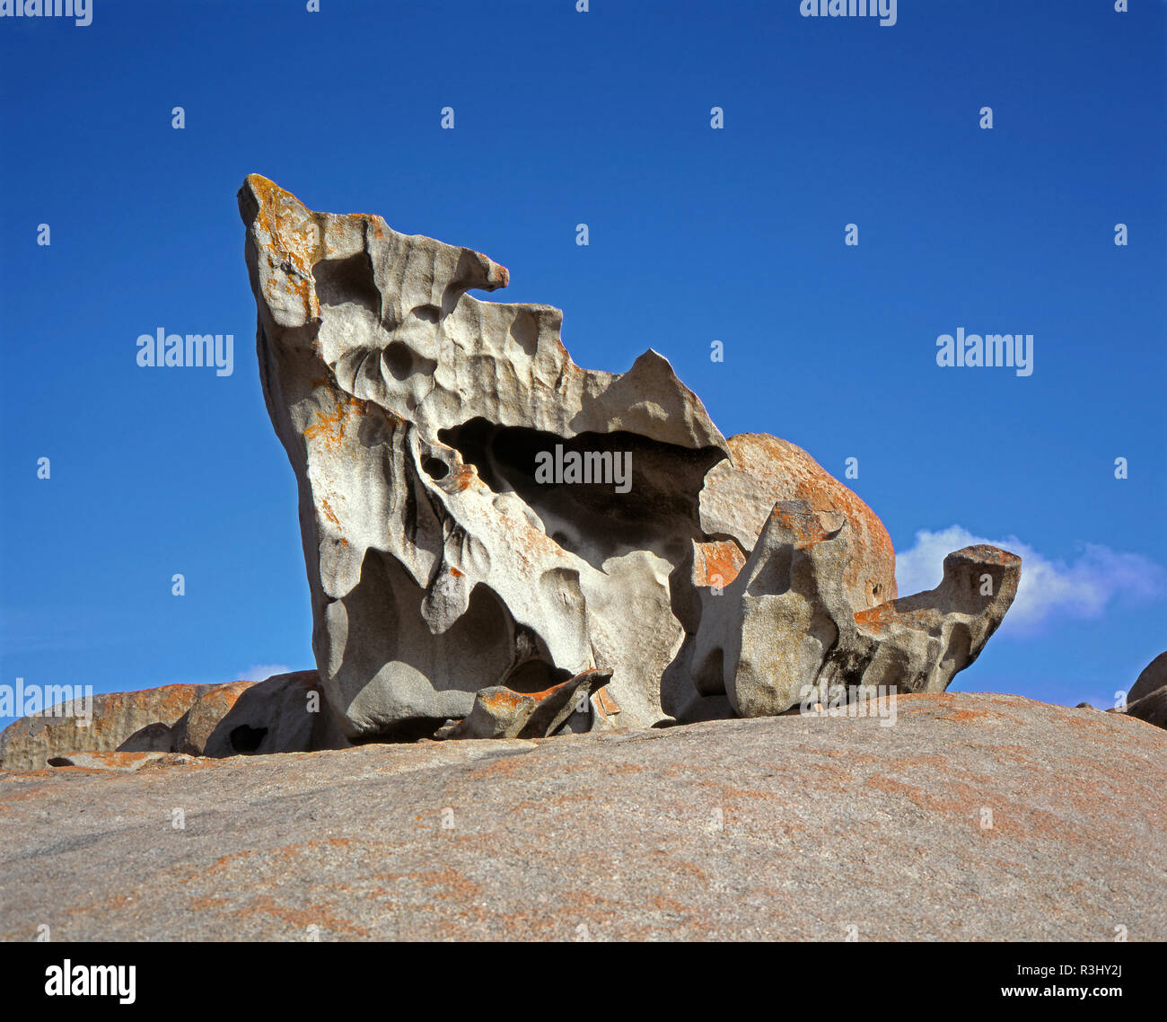 Flinders chase nationalpark hi-res stock photography and images - Alamy