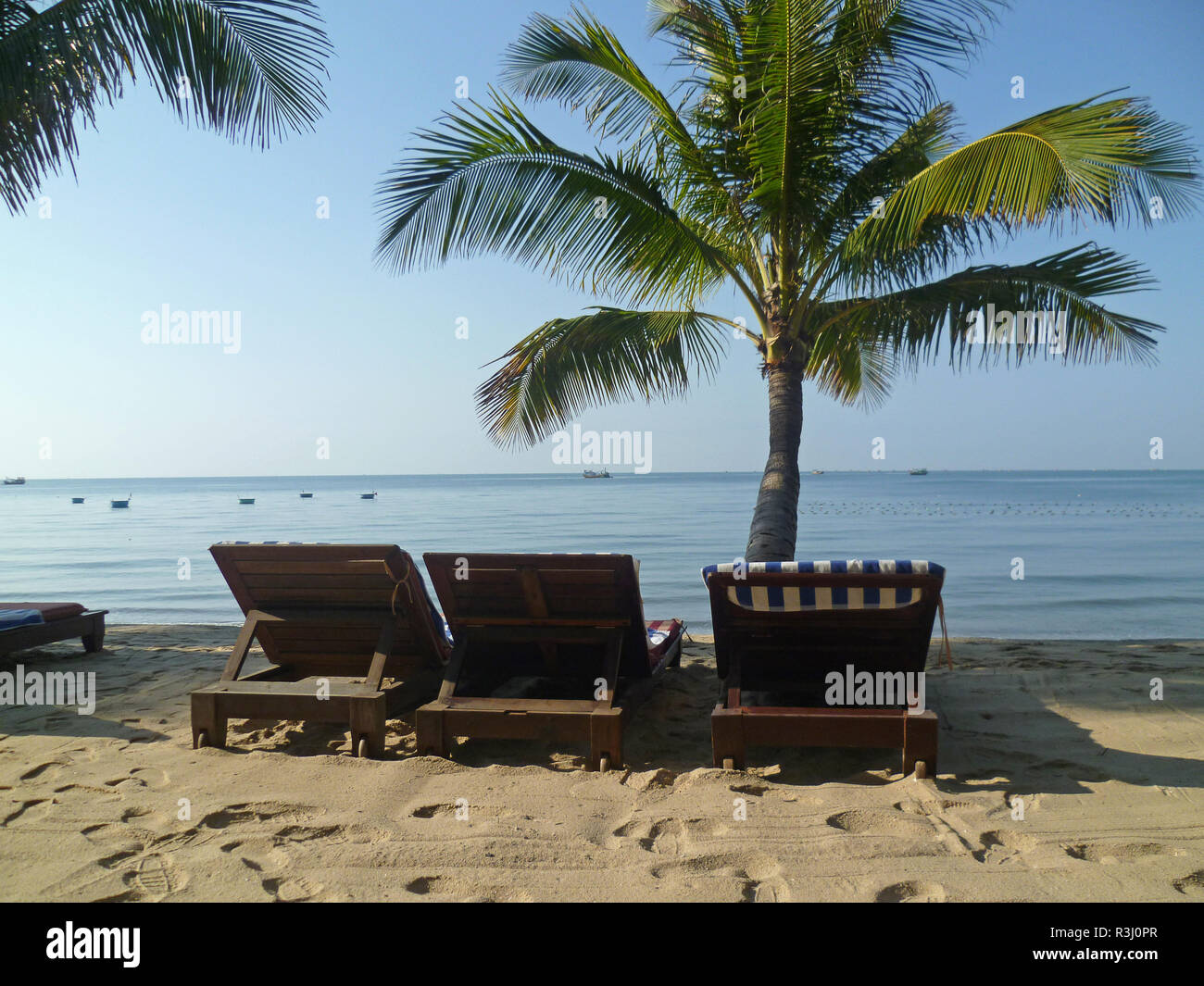 indian zean - vietnam Stock Photo - Alamy